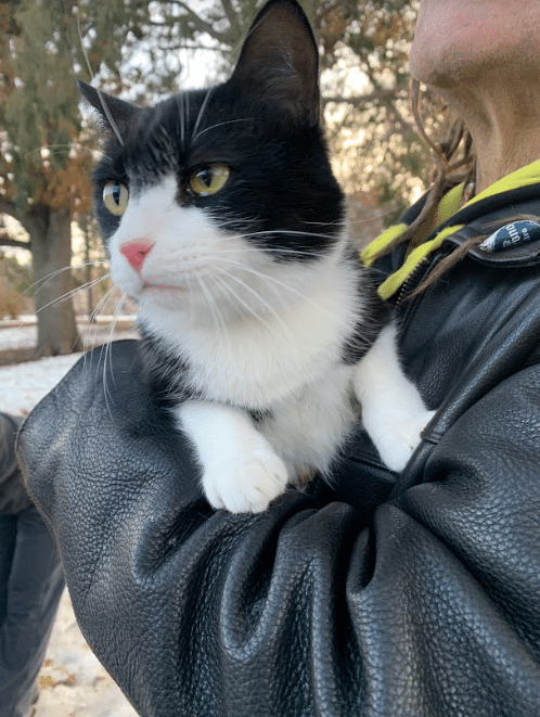 Nonprofit Spotlight: Annie and Millie's Place - SVP Boulder County